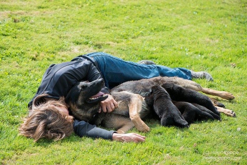 Health & Care | Timber Ridge Farm