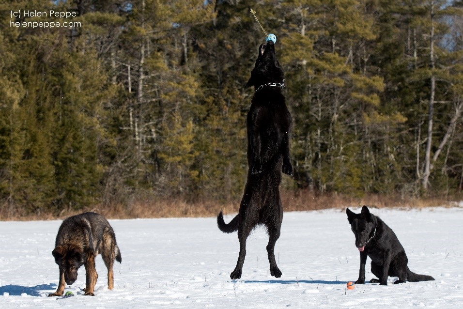 Exercise – Timber Ridge Farm
