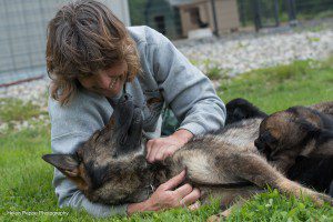 Retired and Remembered Dogs | Timber Ridge Farm