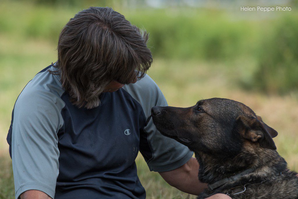 Retired and Remembered Dogs | Timber Ridge Farm