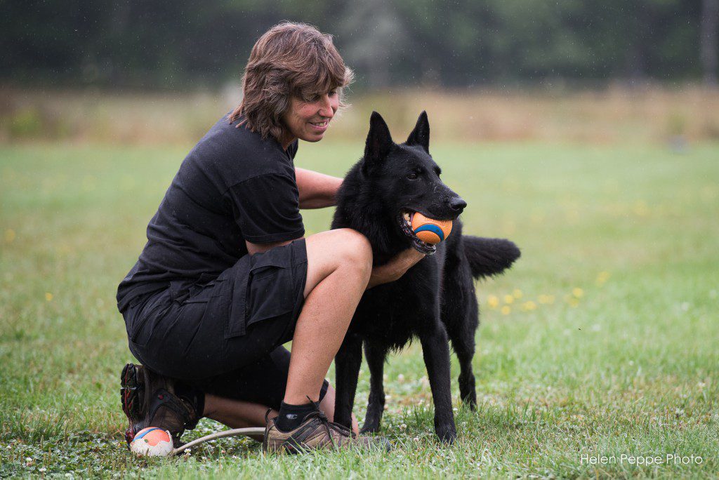 Retired and Remembered Dogs | Timber Ridge Farm
