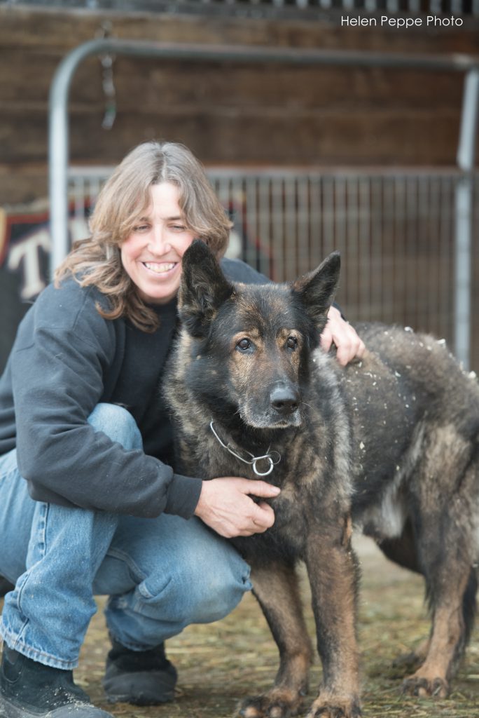 Retired and Remembered Dogs | Timber Ridge Farm