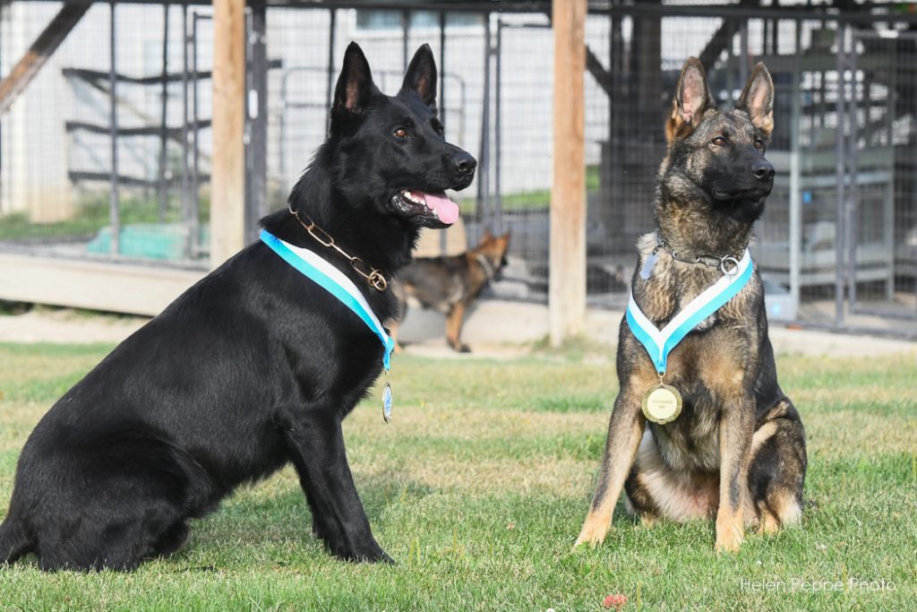 All About the Girls – Timber Ridge Farm