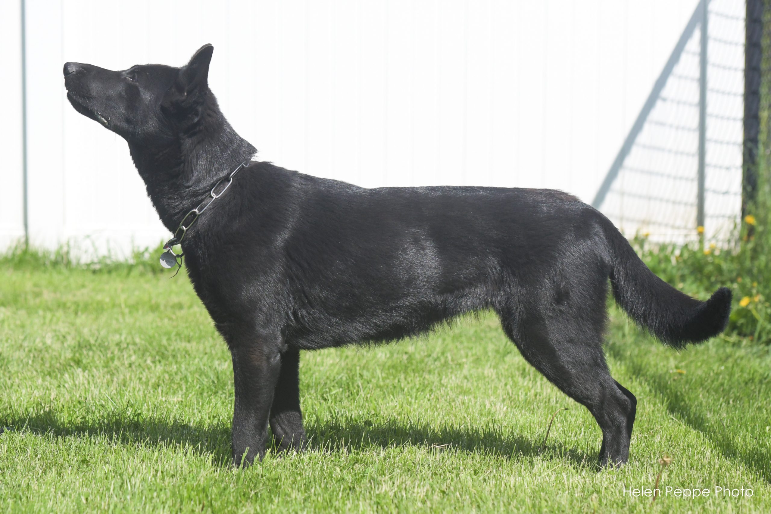 All About the Girls – Timber Ridge Farm