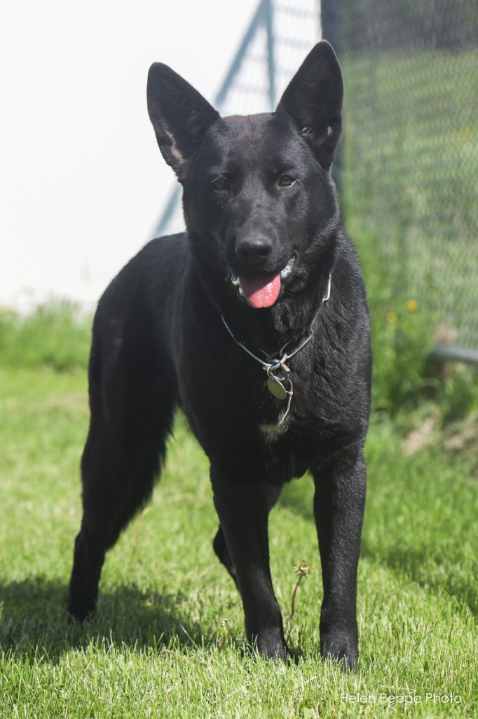 All About the Girls – Timber Ridge Farm