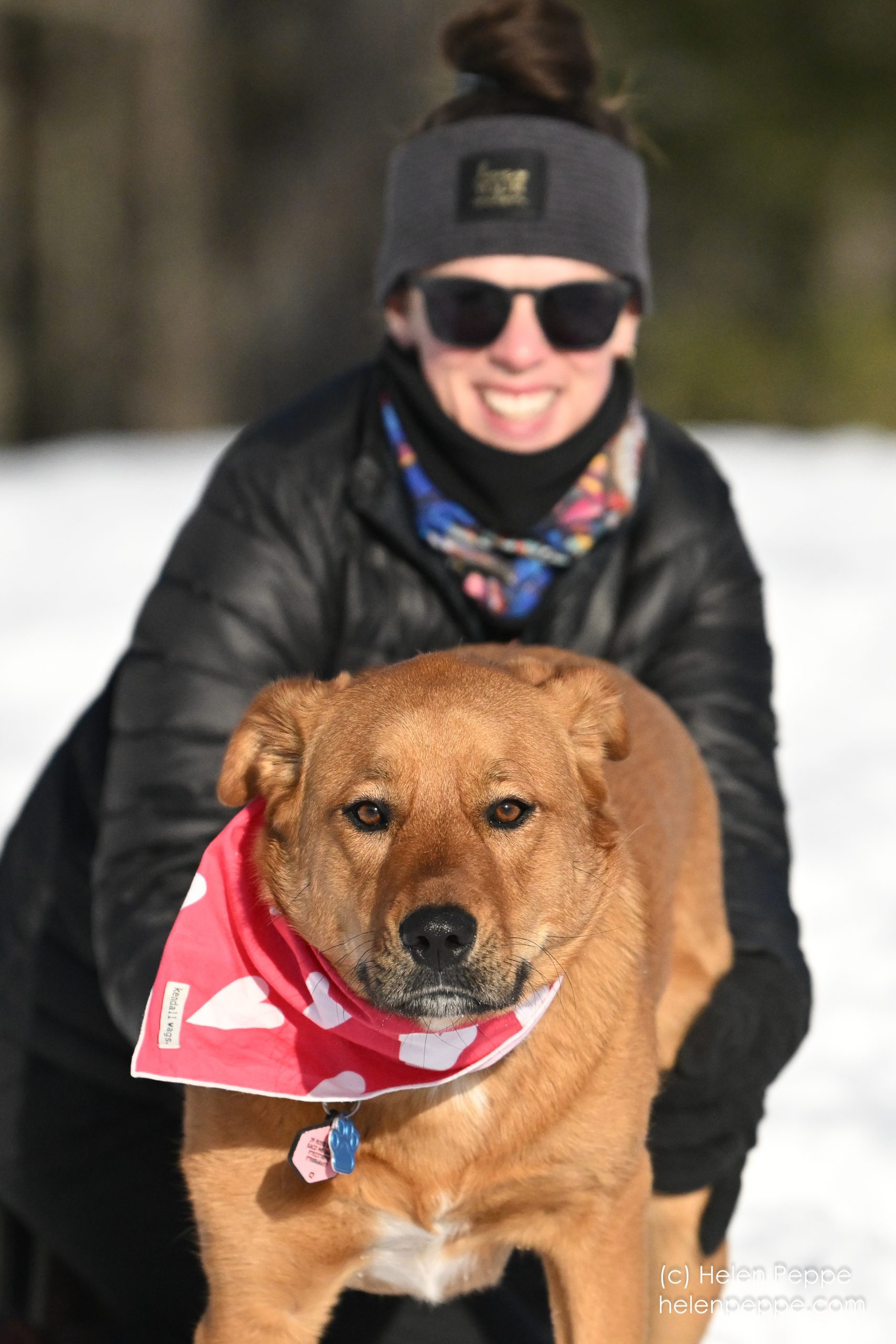 Dog Training – Timber Ridge Farm